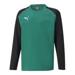 Puma Pullover "TeamLIGA Training Sweat Jr" in Gr&uuml;n | Gr.: 176
