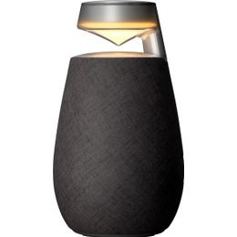 LG Lautsprecher "XBOOM 360 DXO2", B:20,9cm H:11,9cm T:11,9cm, schwarz, Wohnzimmer, Lautsprecher, 360 Sound, bis zu 20Std. Akkulaufzeit,