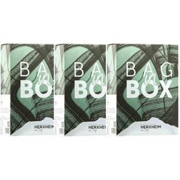 Winzergenossenschaft Herxheim am Berg 4er Paket Bag-in-Box Riesling 2025 Trocken - Pfalz &ndash; Probierpaket Qualit&auml;tswein