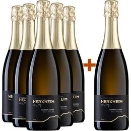 Winzergenossenschaft Herxheim am Berg 5+1 Paket Grande Cuv&eacute;e Sekt 2022 Brut nature - Pfalz &ndash; Probierpaket b.A.