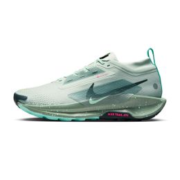 Nike Pegasus Trail 5 GTX Herren