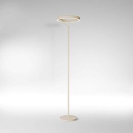 GEA LUCE CRISEIDE Deckenfluter, LED, CRISEIDE PT BE,
