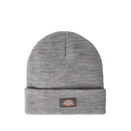Dickies Beanie male Grey size One Size