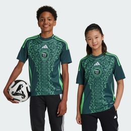 adidas Performance Funktionsshirt 'Algeria 24' Jungen Gr&ouml;&szlig;e 128 hellgr&uuml;n / dunkelgr&uuml;n / wei&szlig;