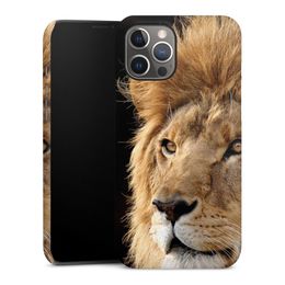 DeinDesign iPhone 12 Pro Max Handy Premium Case Smartphone Handyh&uuml;lle Schutzh&uuml;lle matt Jungle Lion Photography Premium Case