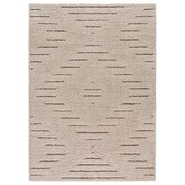 Moma Hochflor-Teppich ''Atesa'' in Creme - 51% | Gr&ouml;&szlig;e 60x120 cm |