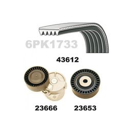 MAPCO Keilrippenriemensatz 23616 f&uuml;r RENAULT SKODA ALFA ROMEO VW PEUGEOT SEAT FIAT CITRO&Euml;N AUDI MAZDA FORD BMW 6Q0260849A 11281437369 6Q0260849C