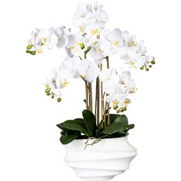 Kunstorchidee Creativ green "Phalaenopsis", wei&szlig;, H:75cm, Kunststoff, Kunstpflanzen, in Design-Kunststoffvase