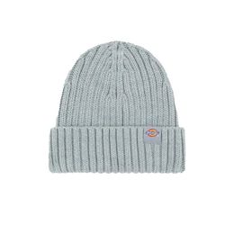 Dickies Beanie 'Lockwood' male Blue size One Size