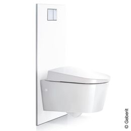 Geberit Designplatte f&uuml;r AquaClean Sela, Mera und Tuma WC-Komplettanlage an UP-Sp&uuml;lkasten, 115329111,