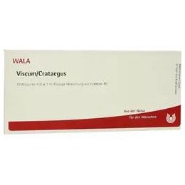 WALA Viscum/Crataegus 10 ML