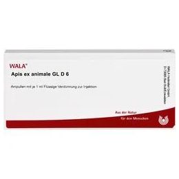 WALA Apis Ex Animale Gl D 6 10 ML