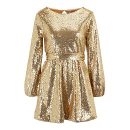 Dorothy Perkins Petite Kleid Damen Gr&ouml;&szlig;e 38 gold Winterkleid