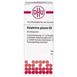 DHU-Arzneimittel Galphimia Glauca C 6 10 G