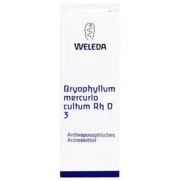 Weleda Bryophyllum Merc Cu Rh D 3 20 ML