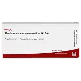 WALA Membrana Sinuum Par Gl D 4 10 ML