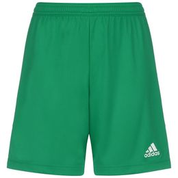 adidas Performance Workout Pants 'Entrada 22' male Green size M
