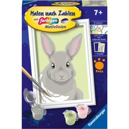 Malen nach Zahlen Ravensburger "CreArt, Niedliches Kaninchen", bunt, Malvorlagen, KinderB:5cm H:12cm, Made in Europe, B:5cm H:12cm