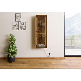 H&auml;ngevitrine Wildeiche 46x38x132 natur ge&ouml;lt LINDAU #13
