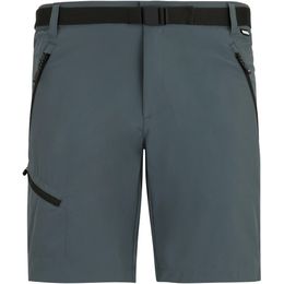 Regatta Xert Stretch Herren Wandershorts dunkelgrau 60 - Herrenhosen & -shorts