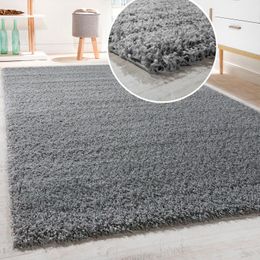 Hochflor-Teppich Paco Home "Sky 250", grau, B:60cm H:34mm L:100cm, Polypropylen (PP), Teppiche, gewebt, Uni-Farben, intensive Farbbrillanz, auch als L&auml;ufer erh&auml;ltlich