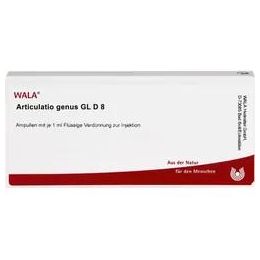 WALA Articulatio Genus Gl D 8 10 ML