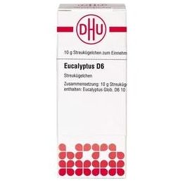 DHU-Arzneimittel Eucalyptus D 6 10 G