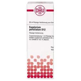 DHU-Arzneimittel Eupatorium Perf D12 20 ML
