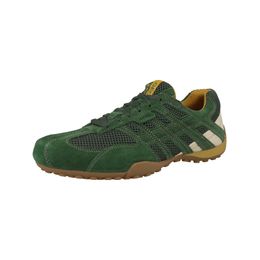 Geox Sneakers 'Snake Original' male Green size 43
