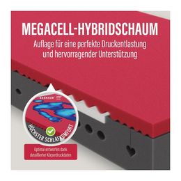 Paradies Kaltschaummatratze &raquo;Neuheit: Perfekta KS, 90x200, 140x200 cm & weitere Gr&ouml;&szlig;en&laquo; 22 cm hoch Raumgewicht: 35 kg/m&sup3; 1 Stk. tlg. Maximaler Komfort mit 