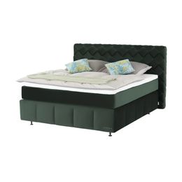 Jette Home Boxspringbett - gr&uuml;n - Materialmix - 202 cm - 123 cm - M&ouml;bel Kraft