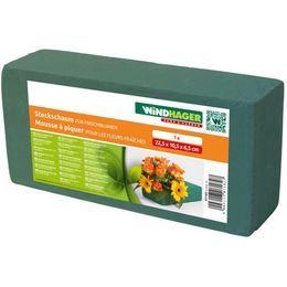 Windhager Steckschaum 22,5x10,5x6,5 cm (nass) g&uuml;nstig