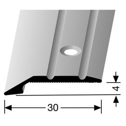 PARKETTFREUND Anpassprofil eloxiert Edelstahloptik Schrauben und D&uuml;bel &Uuml;bergangsschiene, 90 cm, 4 mm