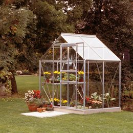 Vitavia Gew&auml;chshaus Venus Tomatenhaus Silber, 3 mm, 131x195x197 cm (LxBxH),ESG (Einscheibensicherheitsglas, kristallklar)