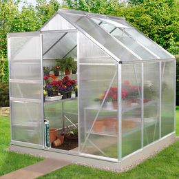 Vitavia Gew&auml;chshaus Venus Tomatenhaus Silber, 4 mm, 195x195x197 cm (LxBxH),HKP (Hohlkammerplatten)
