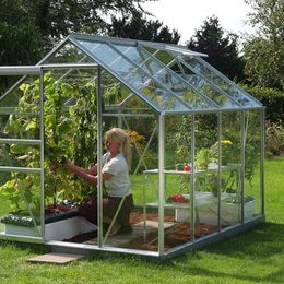 Vitavia Gew&auml;chshaus Venus Tomatenhaus Silber, 3 mm, 257x195x197 cm (LxBxH),ESG (Einscheibensicherheitsglas, kristallklar)