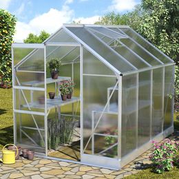 Vitavia Gew&auml;chshaus Apollo Tomatenhaus Silber, 4 mm, 261x195x207 cm (LxBxH)