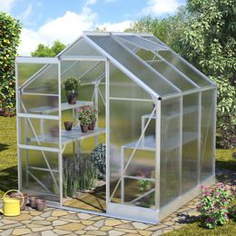 Vitavia Gew&auml;chshaus Apollo Tomatenhaus Silber, 6 mm, 199x195x207 cm (LxBxH)