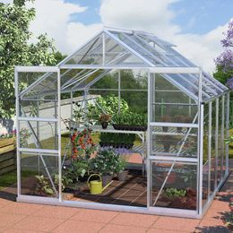 Vitavia Gew&auml;chshaus Mars Tomatenhaus Silber, 3 mm, 258x257x232 cm (LxBxH),ESG (Einscheibensicherheitsglas, kristallklar)
