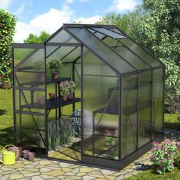 Vitavia Gew&auml;chshaus Apollo Tomatenhaus Schwarz, 6 mm, 199x195x207 cm (LxBxH)