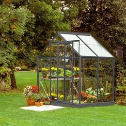Vitavia Gew&auml;chshaus Venus Tomatenhaus Schwarz, 3 mm, 131x195x197 cm (LxBxH),ESG (Einscheibensicherheitsglas, kristallklar)