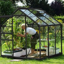 Vitavia Gew&auml;chshaus Venus Tomatenhaus Schwarz, 3 mm, 195x195x197 cm (LxBxH),ESG (Einscheibensicherheitsglas, kristallklar)
