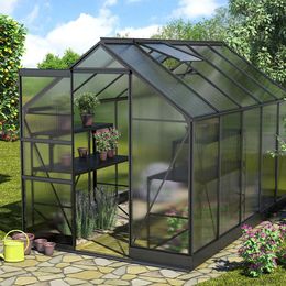 Vitavia Gew&auml;chshaus Apollo Tomatenhaus Schwarz, 4 mm, 323x195x207 cm (LxBxH)