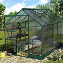 Vitavia Gew&auml;chshaus Apollo Tomatenhaus Smaragd, 6 mm, 323x195x207 cm (LxBxH)