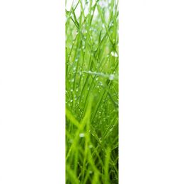 XIMAX Raumheizk&ouml;rper Design Heizk&ouml;rper P1 Plan Print Gras vertikal, 180x52 cm (952 W)