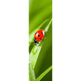 XIMAX Raumheizk&ouml;rper Design Heizk&ouml;rper P1 Plan Print Marienk&auml;fer vertikal, 180x52 cm (952 W)