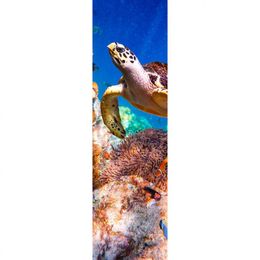 XIMAX Raumheizk&ouml;rper Design Heizk&ouml;rper P1 Plan Print Schildkr&ouml;te vertikal, 180x52 cm (952 W)