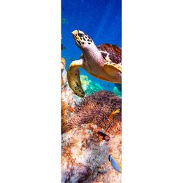 XIMAX Raumheizk&ouml;rper Design Heizk&ouml;rper P1 Plan Print Schildkr&ouml;te vertikal, 180x59,5 cm (1088 W)