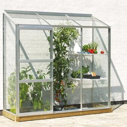 Vitavia Anlehngew&auml;chshaus Styx Tomatenhaus Silber, 3 mm, 69x193x182 cm (LxBxH),ESG (Einscheibensicherheitsglas, kristallklar)