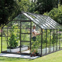 Vitavia Gew&auml;chshaus Merkur Tomatenhaus Schwarz, 3 mm, 445x257x232 cm (LxBxH),ESG (Einscheibensicherheitsglas, kristallklar)